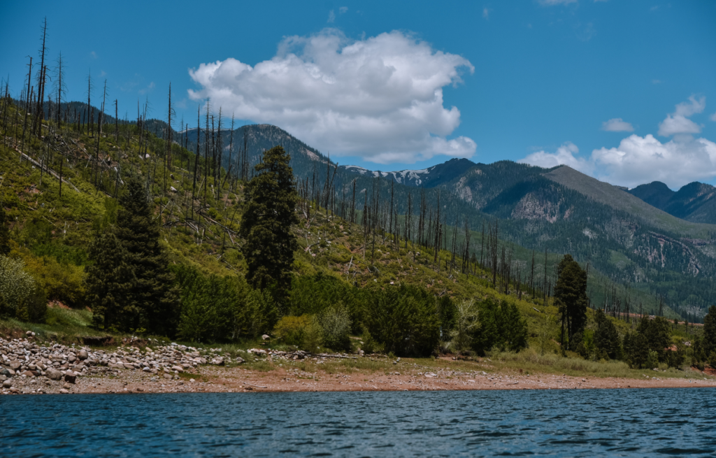 21 Places to Go Fishing in Colorado [FISHING GUIDE]